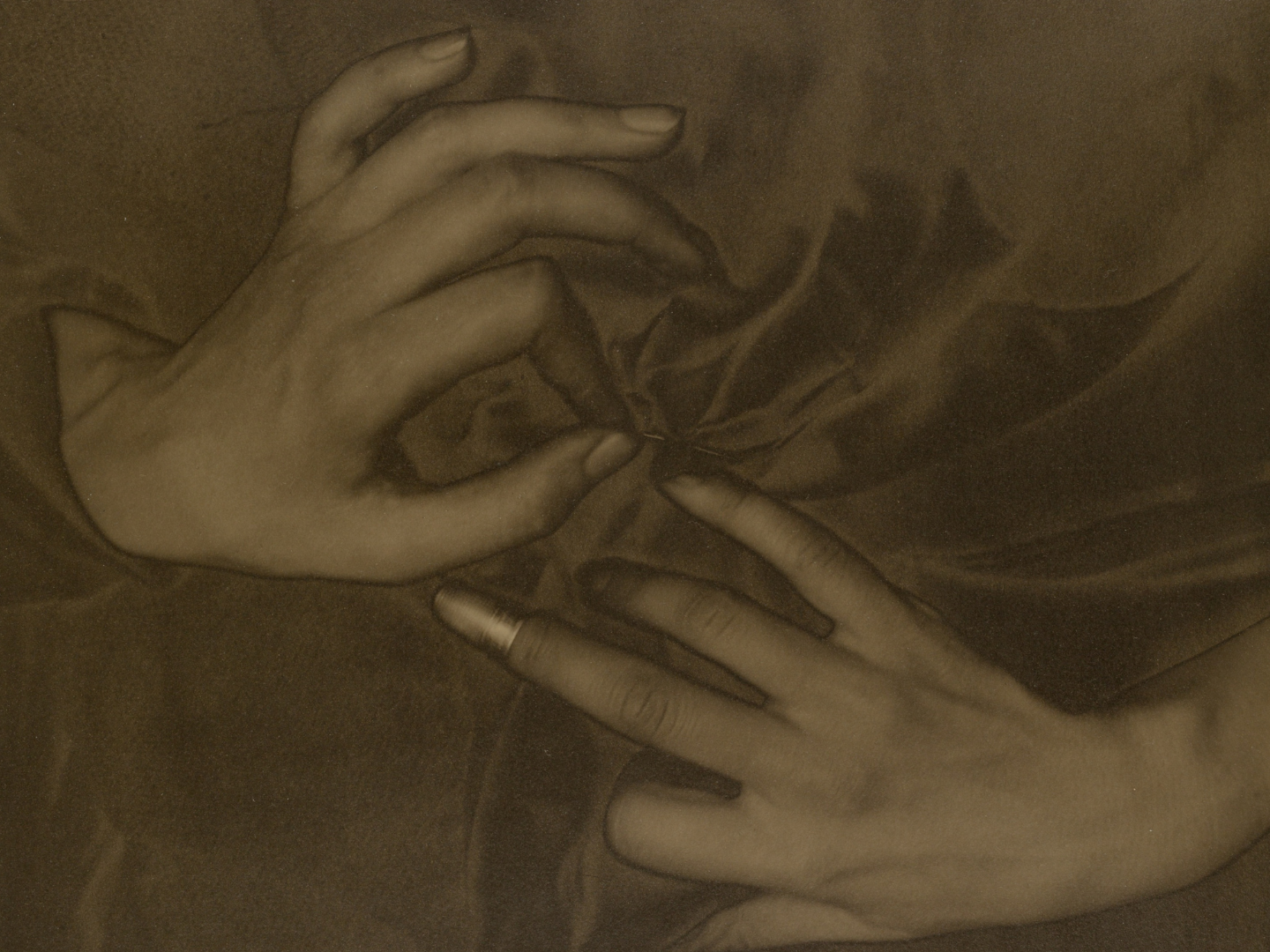 Carmilla, A Recommendation – Seadog Books